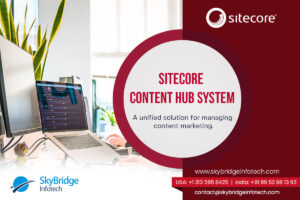 Sitecore Content Hub System | Sitecore CMS Development Services - Skybridge
