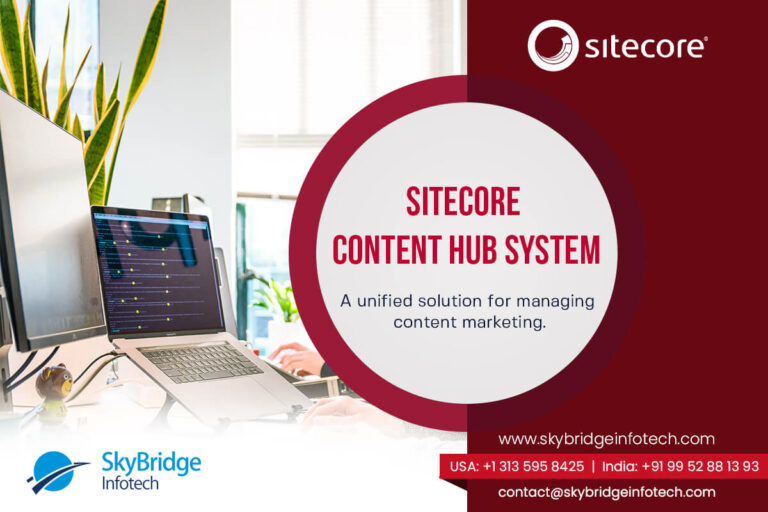 Sitecore Content Hub System | Sitecore CMS Development Services - Skybridge